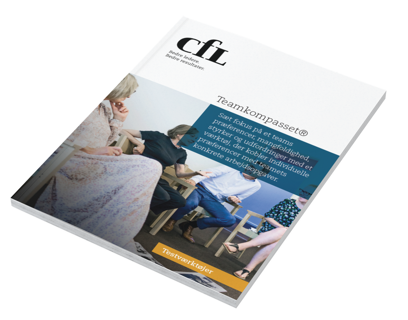 Bliv en god teamplayer | Teamkompasset® | Ledelsesredskab